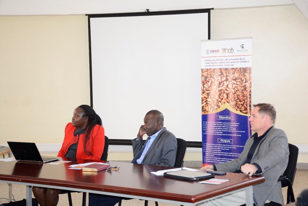 The Black Fly Insect Larvae Enterprise for COVID-19 Livelihood ...