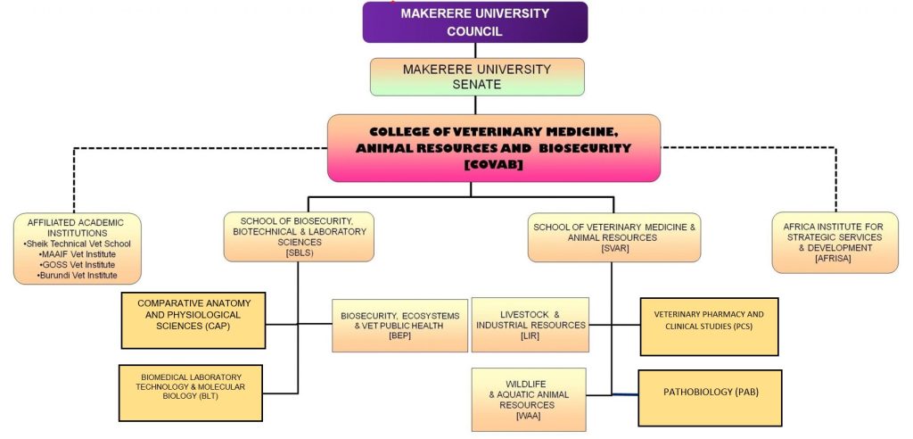 College Structure - COVAB - Makere University